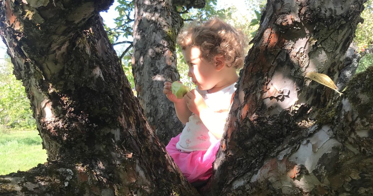 REN MAT | Norges eneste økologiske magasin