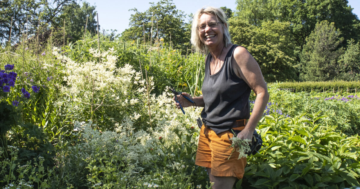 REN MAT | Norges eneste økologiske magasin