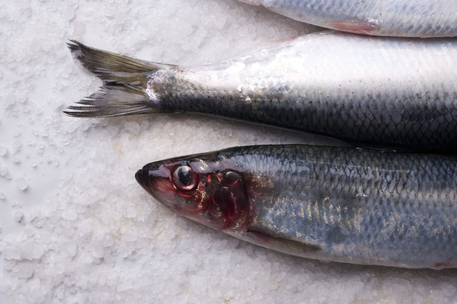 REN MAT | Norges eneste økologiske magasin