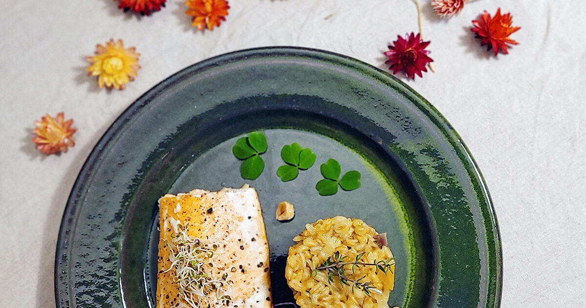 REN MAT | Norges eneste økologiske magasin